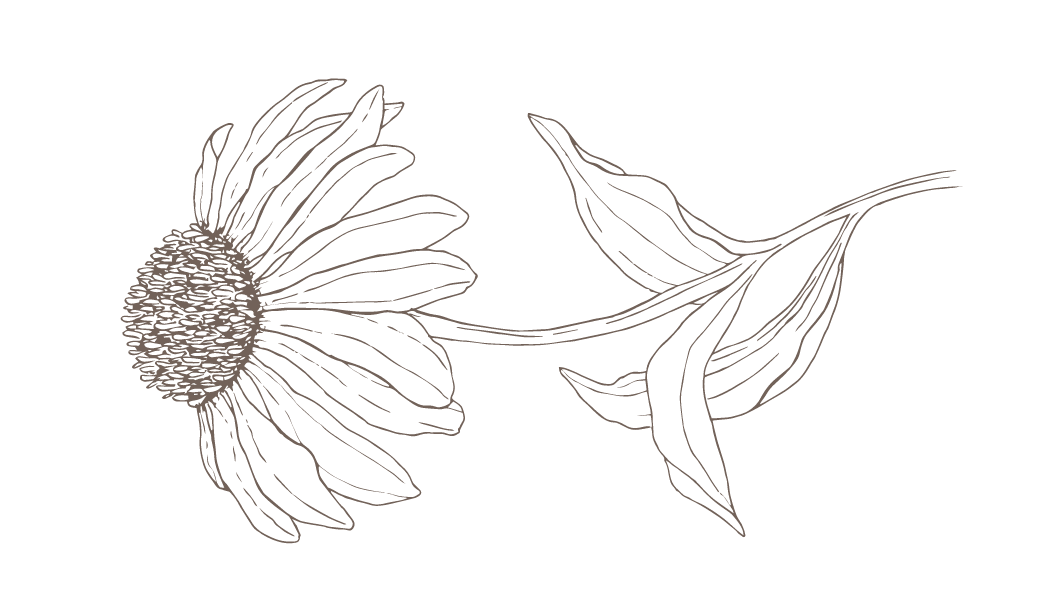 Peristeam Hydrotherapy Natural Feminine Medicine